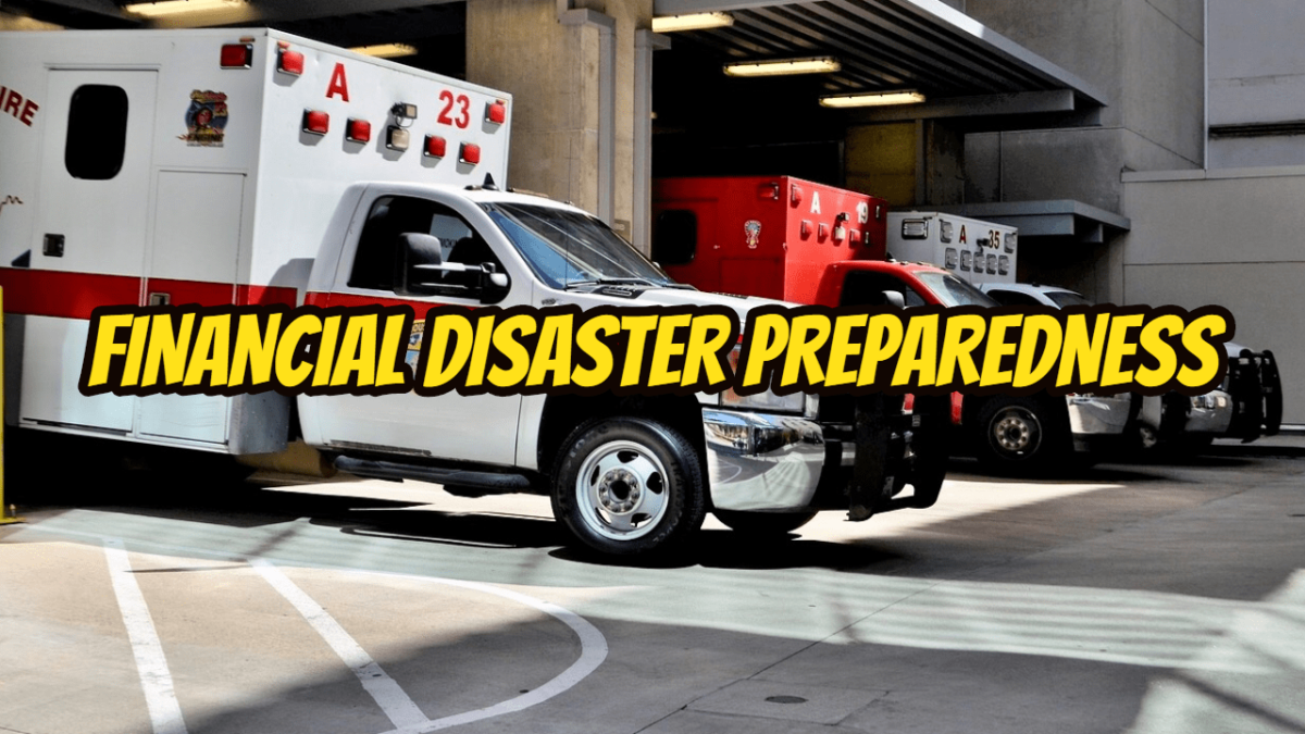 FINANCIAL DISASTER PREPAREDNESS: 4 STEP PLAN TO STOP FINANCIAL DISASTER ...